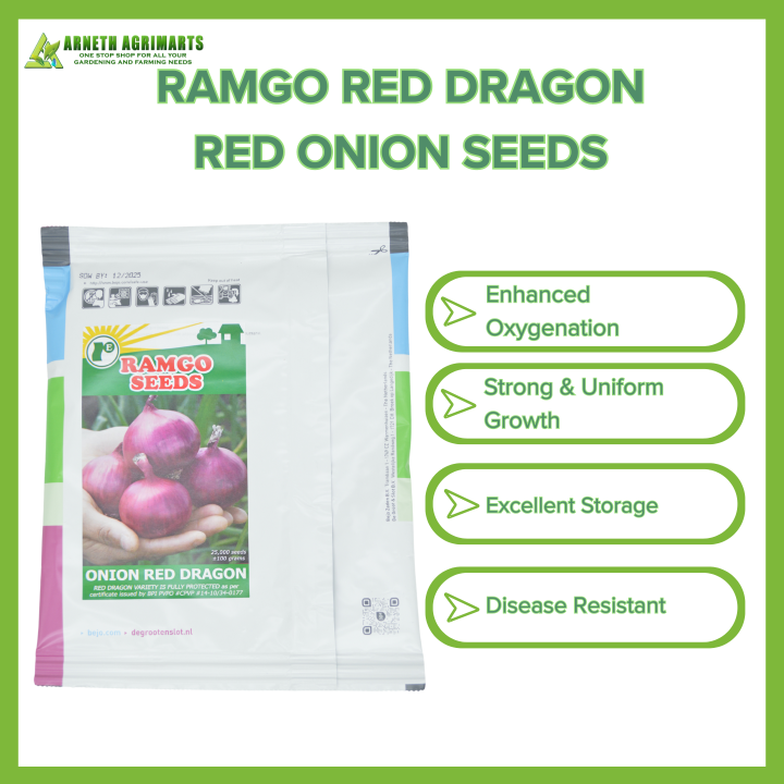RAMGO RED DRAGON RED ONION SEEDS 100 GRAMS | Lazada PH
