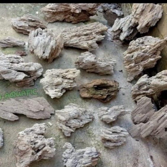 batu pasir / sand stone 1 kg | Lazada Indonesia