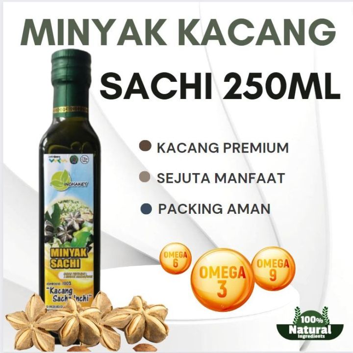 MInyak ekstrak Kacang Inchi Inchakey Minyak sachi 250 ml Minyak Sacha ...
