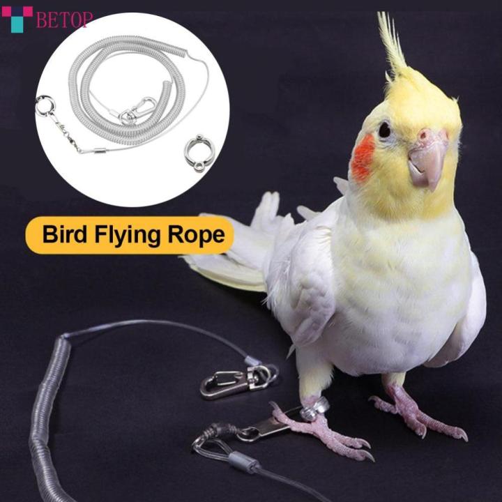 3M/6M Parrot Bird Flying Training Leash Ultra-light Flexible Rope Anti ...