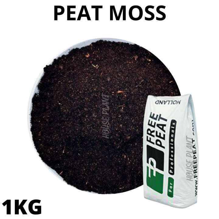 Peatmoss Holland seeding soil/tanah semaian 1kg | Lazada