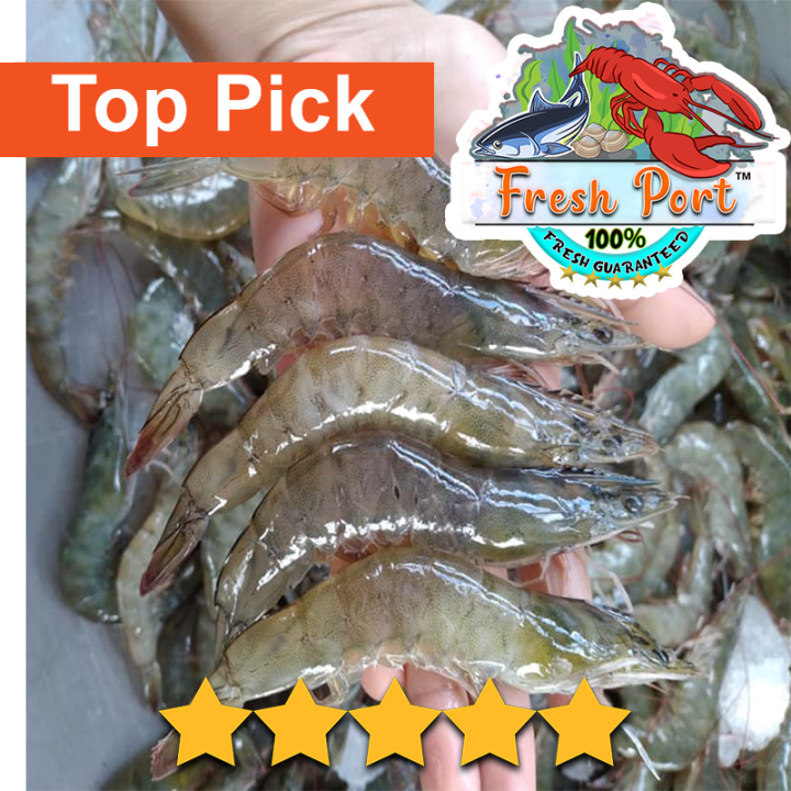 FRESH SHRIMP / HIPON LARGE - 500g | Lazada PH