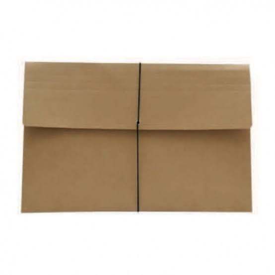 EXPANDED ENVELOPE LONG with STRING | Lazada PH