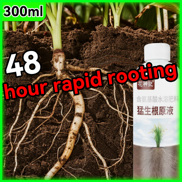 ⚡Restore vitality within three days⚡ultra rooting 300ml rooting ...