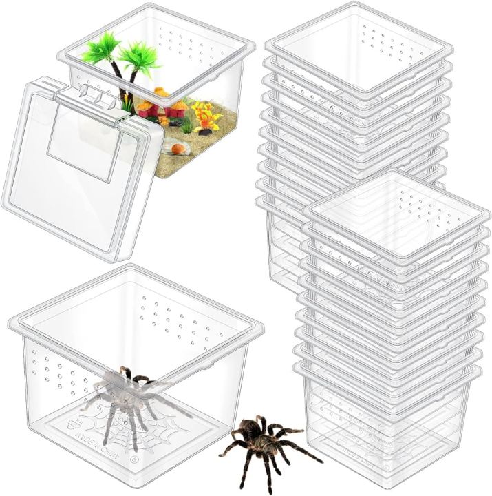 Reptile Enclosure Tarantula Breeding Box Transparent Plastic Enclosure ...
