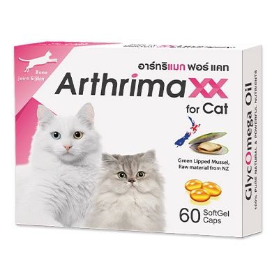 Arthrimaxx for Cat บรรจุ 60 เม็ด สำหรับแมว อาหารเสริมน้ำมันหอยแมลงภู่ ...