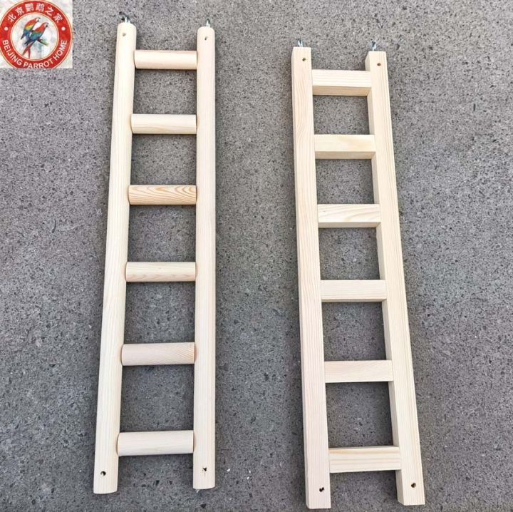 Parrots climb ladders and bite toys, stairs, poles, poles, bird ...