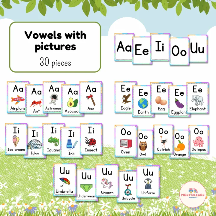 Vowels with pictures laminated flashcards | Lazada PH