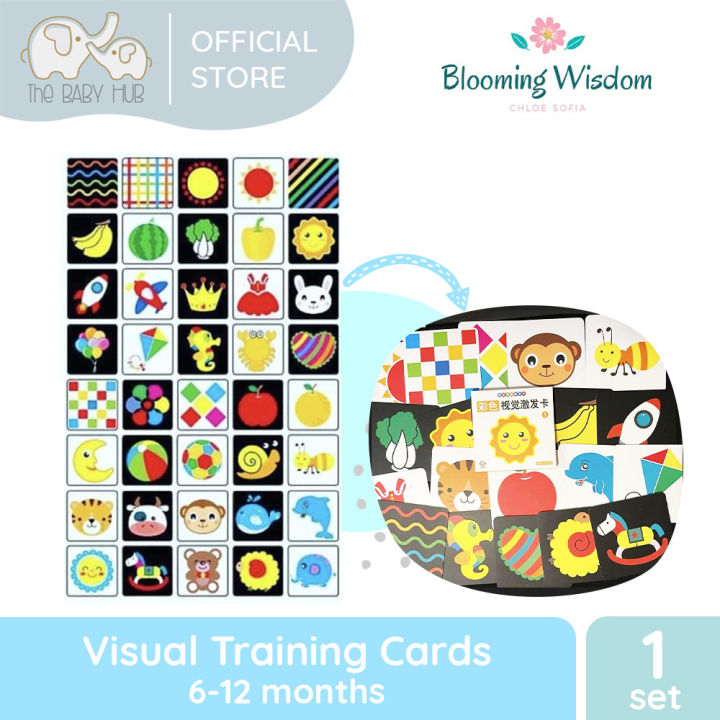 Blooming Wisdom Montessori High Contrast Visual Cards | Lazada PH