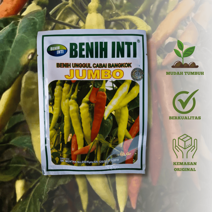 Benih Cabe Rawit Bangkok JUMBO 10 gram Asli Cap Benih Inti | Lazada ...