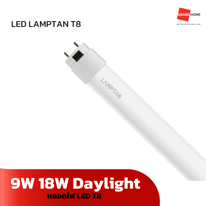 หลอดไฟ LED LAMPTAN T8 9W Daylight เดย์ไลท์ - GRANDHOMEMART | Lazada.co.th