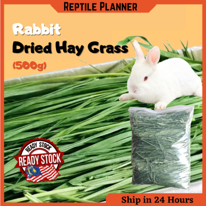 Premium Hay Dried Hay Grass (500g) Timothy Alfafa Wheat Oat Barley ...