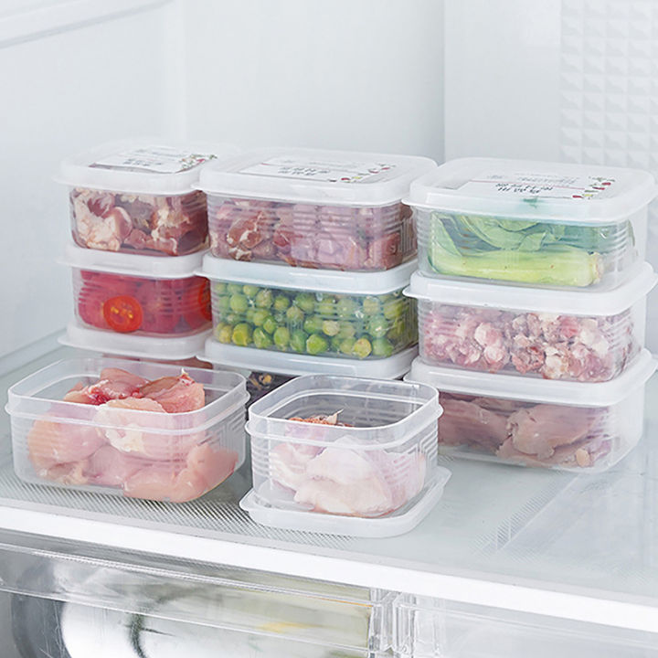 Frozen Meat Storage Box Portable Refrigerator Fruit Vegetable Fresh ...