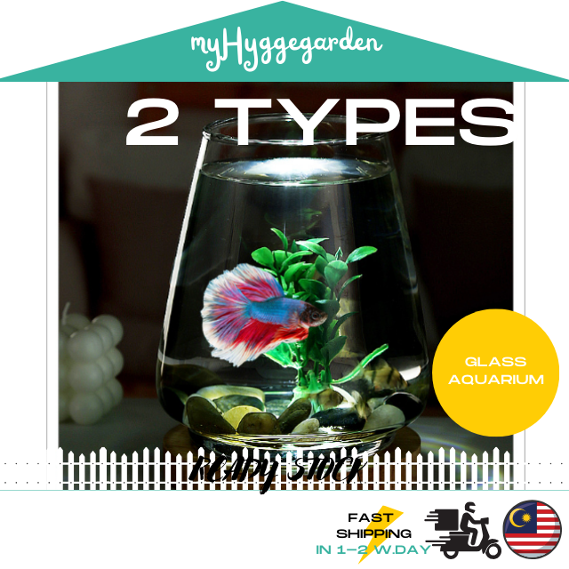 Transparent Clear Glass Fish Bowl Aquarium With LED Wood Base Home ...