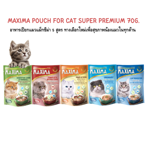 MAXIMA Cat Wet Food Premium Grade 70g อาหารเปียกแมว | Lazada.co.th