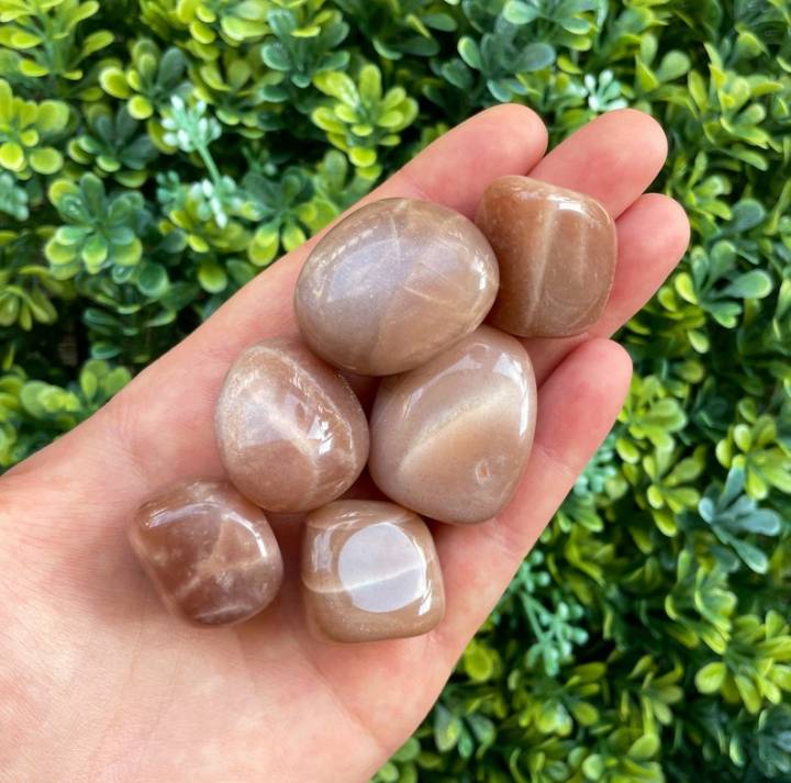 2-3cm Peach Moonstone Gemstone Tumbled Moonstone Crystal | Lazada.co.th