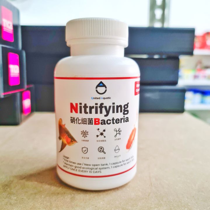 Nitrifying Bacteria Nitrobacter Nitrifier for Aquarium Fish Tank ...