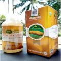 QNC Jelly Gamat Obat Herbal Berbagai Penyakit | Lazada Indonesia