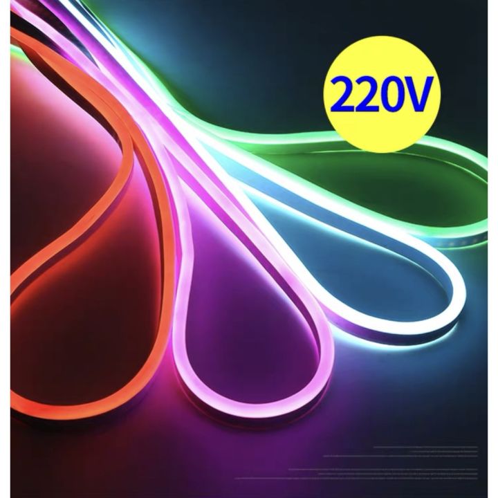 KAIZEN LED Waterproof 220V 8mm LED Neon Lights (PER METER) | Lazada PH