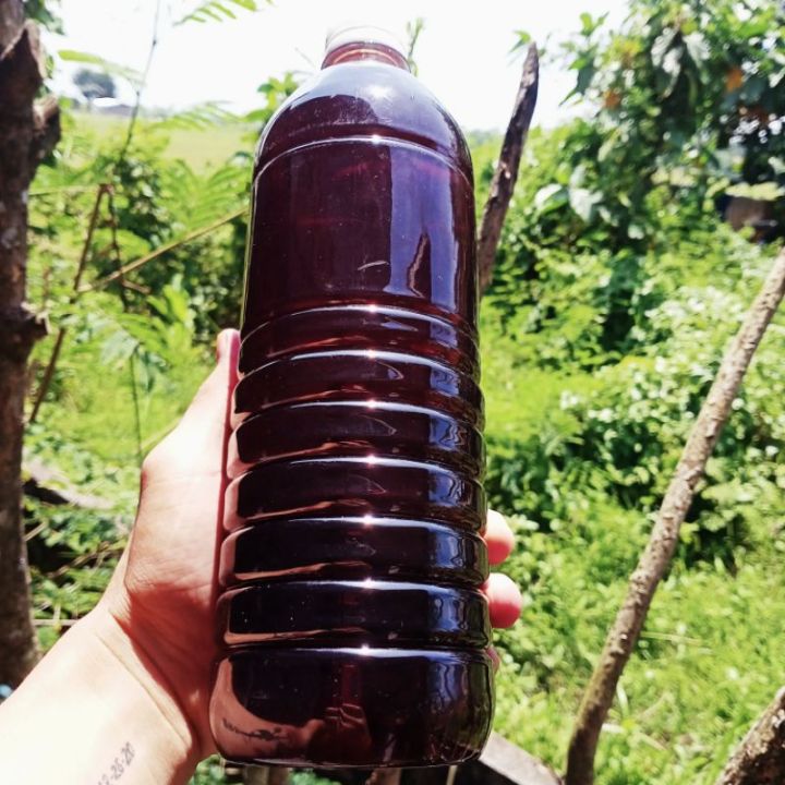 Talisay Leaves extract (BREWED) + [ FREE CUT LEAVES] | Lazada PH