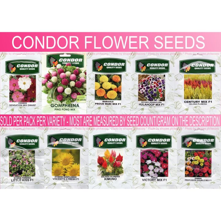 Condor Flower Seeds - Sold per Pack per Variety | Lazada PH