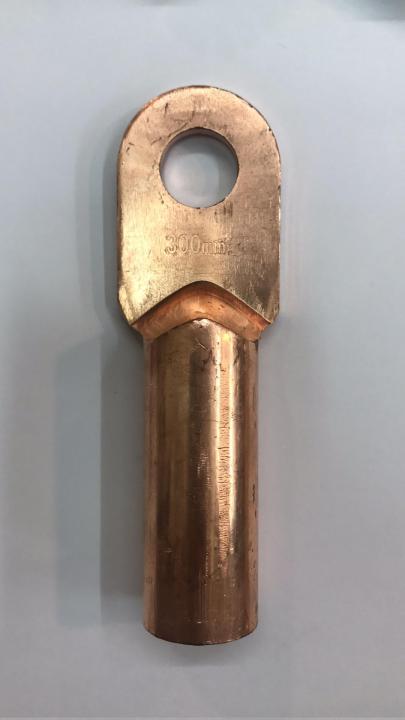 Kabel Skun CU DT 300mm-M21 | Lazada Indonesia