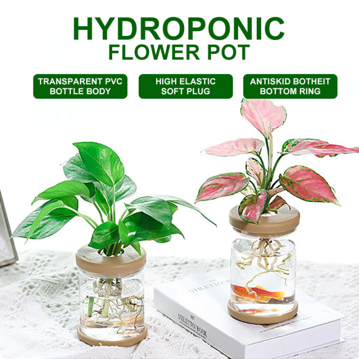 Water Plant Pot Plastic Transparent Hydroponic Small Pots for Indoor ...
