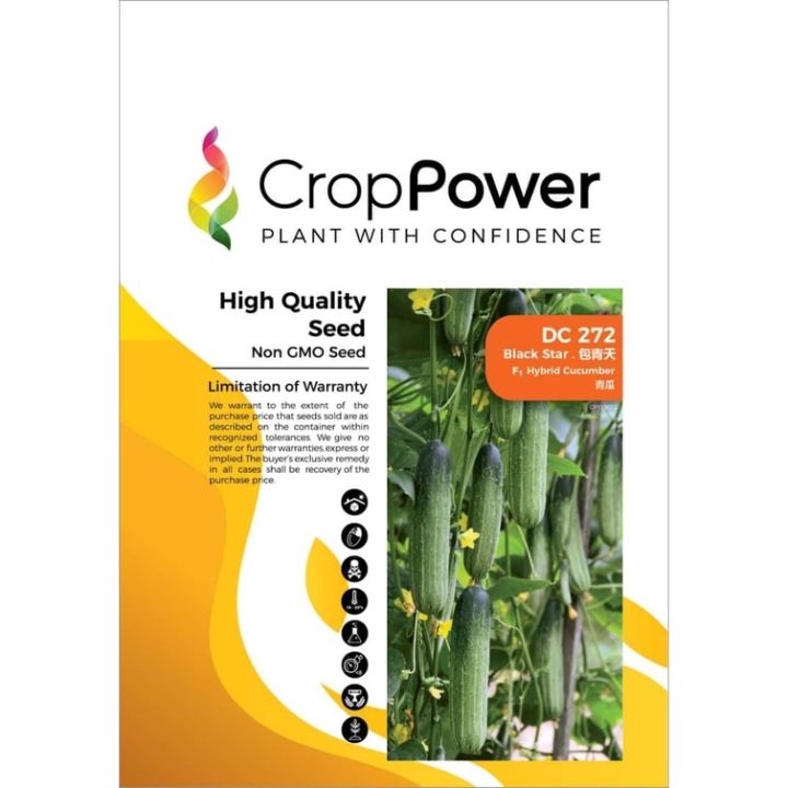 Benih Timun DC272 Black Star F1 Hybrid Cucumber Crop Power - ( 20g ...