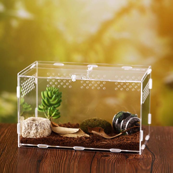 Transparent Spider Snakes Insect Lizard Feeding Box Hatcher Breeding ...