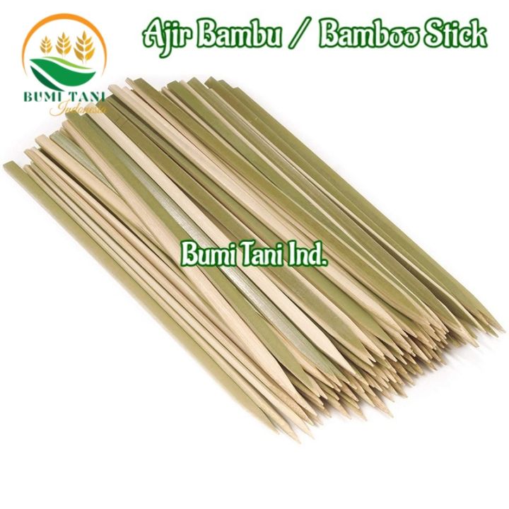 Turus Bambu Ajir Tanaman - 100 Cm Penyangga Tanaman | Lazada Indonesia