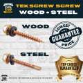 Tek Screw for wood and steel (100PCS) text screws tek txt screw ...