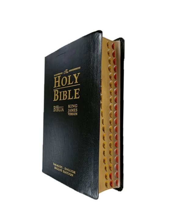 Bible House Ang Biblia/Holy Bible KJV Diglot MAROON COVER ONLY ...
