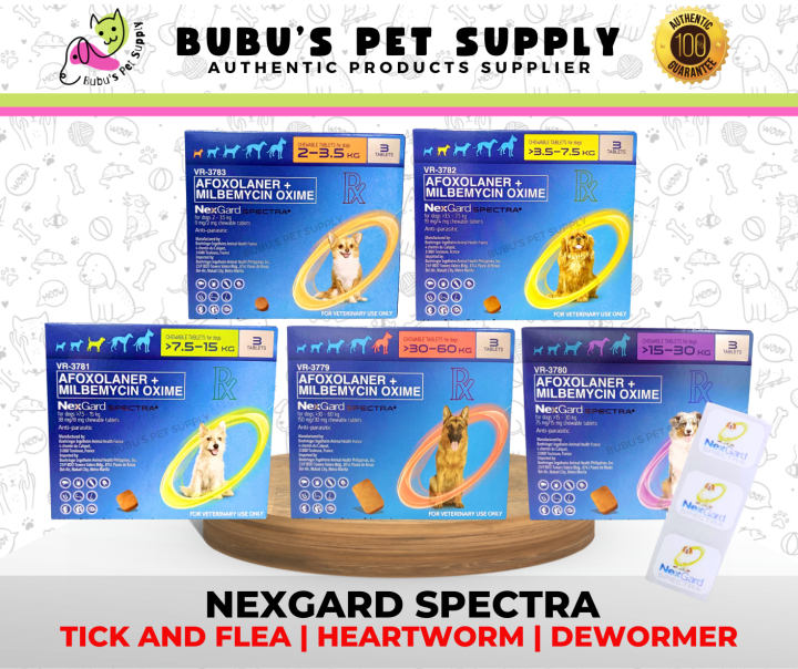 Nexgard SPECTRA Anti Ticks Fleas, Dewormer, Heartworm | Lazada PH