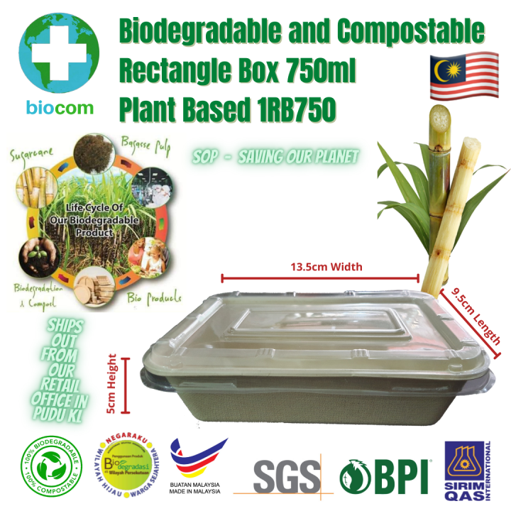 50pcs Biodegradable and Compostable Rectangle Brown Box 750ml Plant ...