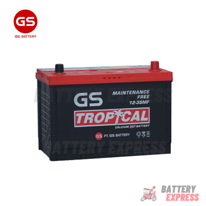 GS Battery 3SM / N70L Maintenance Free - Tropical Car Battery | Lazada PH