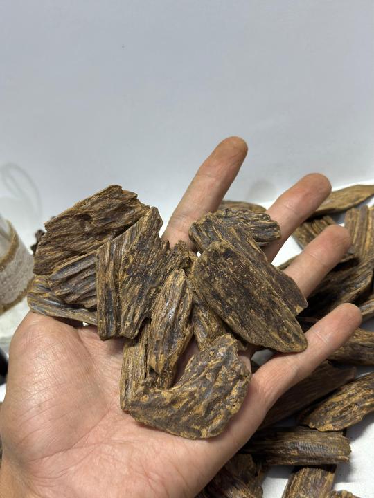 KAYU GAHARU SUMATRA SUYUFI PURE OUD AGARWOOD SANAI ORIGINAL MOHASSAN ...