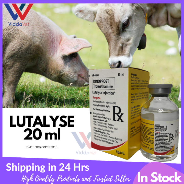 Lutalyse 30 ml Zoetis for Pig Cattle Cow | Lazada PH