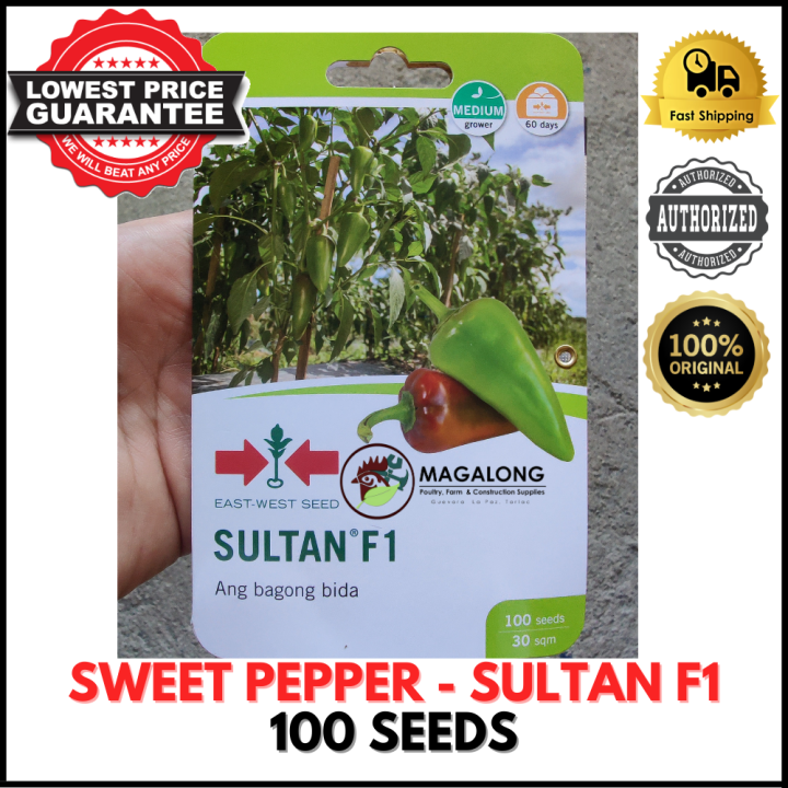 EAST-WEST SEEDS - SWEET PEPPER SEEDS - SULTAN F1 HYBRID 100 SEEDS ...