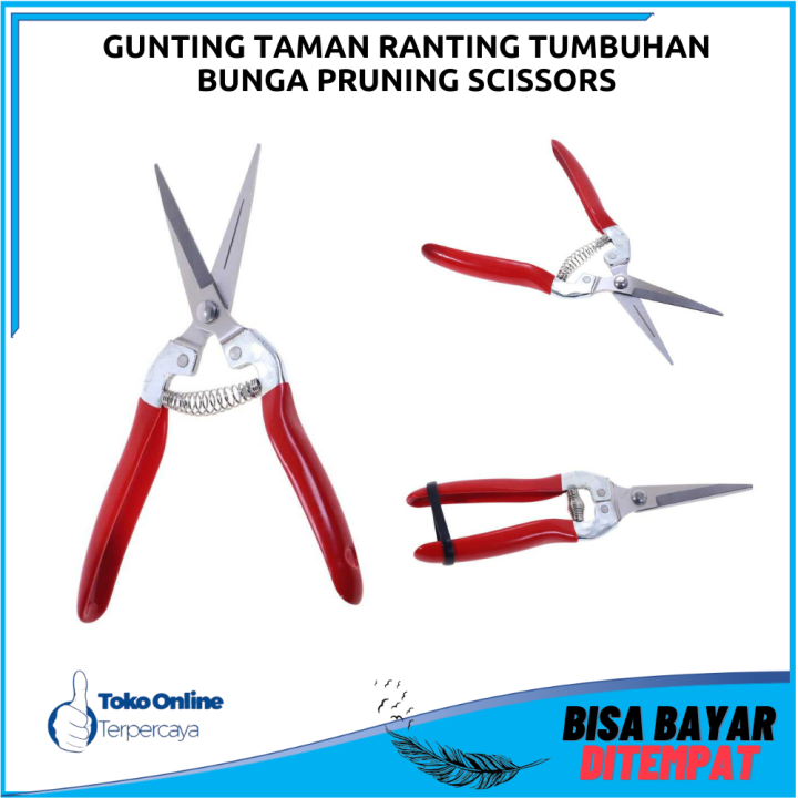 Gunting Tanaman Model Lurus Ranting Buah daun Tanaman Bonsai Stainless ...