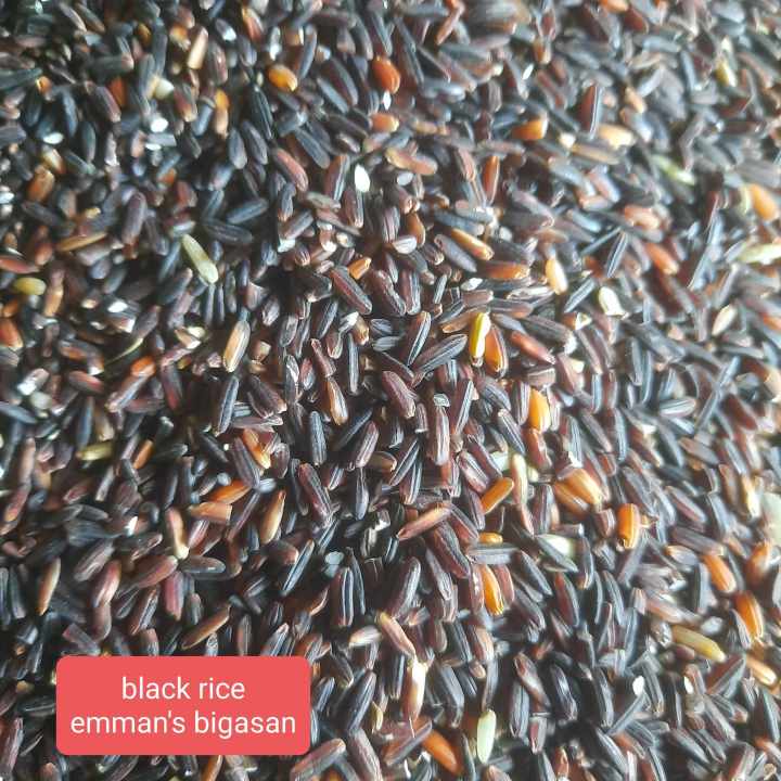 5KG Pack Heirloom Black Rice [Emman's Bigasan] | Lazada PH