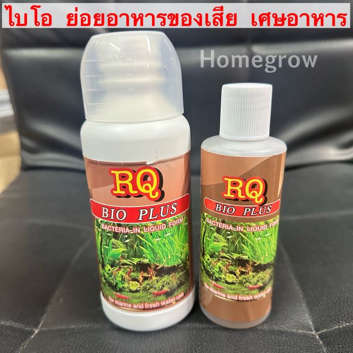 กำจัดของเสียในน้ำ RQ BIO PLUS พร้อมส่งในไทย | Lazada.co.th