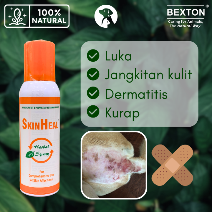 Skin Heal Spray - 100ml/250ml | Lazada