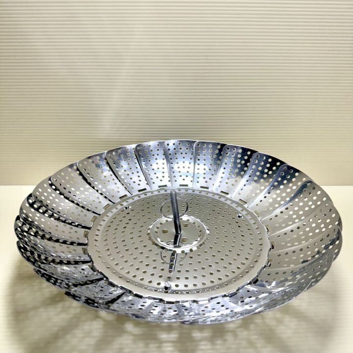 Flexible Steam Plate / Plat Stim Fleksibel / 柔性蒸汽板 | Lazada