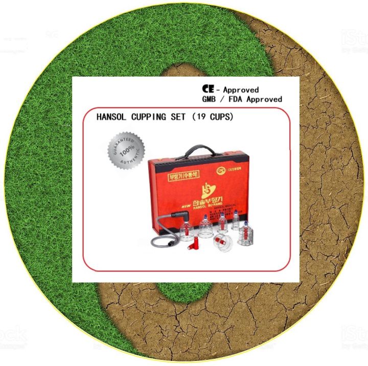 Authentic "HANSOL" Korea Professional Cupping Set, 19 cups | Lazada PH