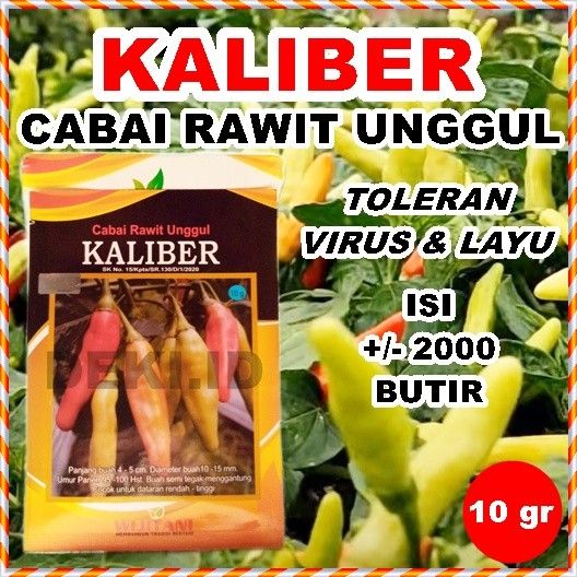 BENIH CABE RAWIT KALIBER BIBIT CABAI UNGGUL 10 GRAM KEMASAN PABRIK ...