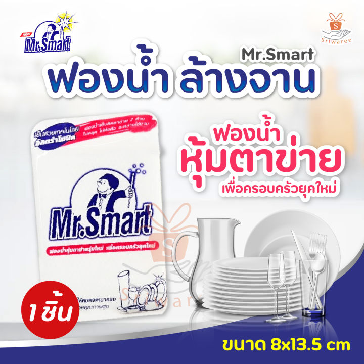 Mr. Smart มิสเตอร์สมาร์ท ฟองน้ำ ฟองน้ำหุ้มตาข่าย สีขาว ฟองน้ำตาข่าย ...
