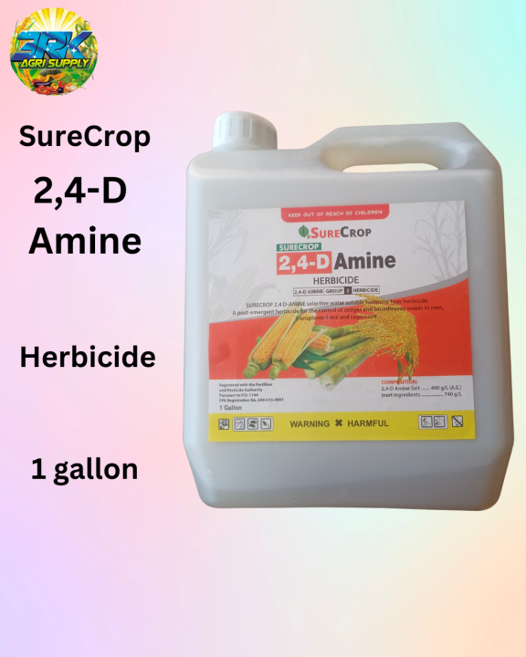 Surecrop 24D Amine herbicide 1 gallon | Lazada PH