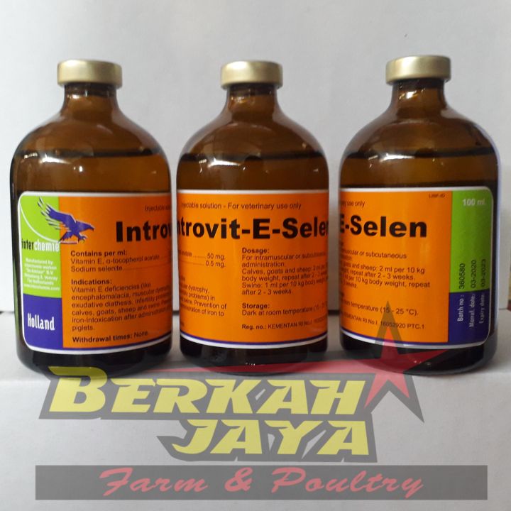 INTROVIT E SELEN Vitamin E Selenium Injeksi Hewan | Lazada Indonesia