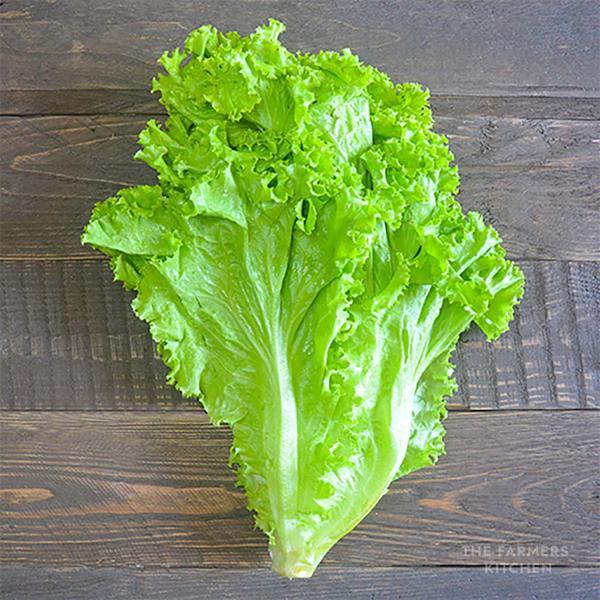 green ice sweet lettuce leafy greens salad vegetable plant seeds ...