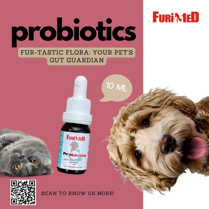 PROBIOTICS ORAL SOLUTION 10 ML | Lazada